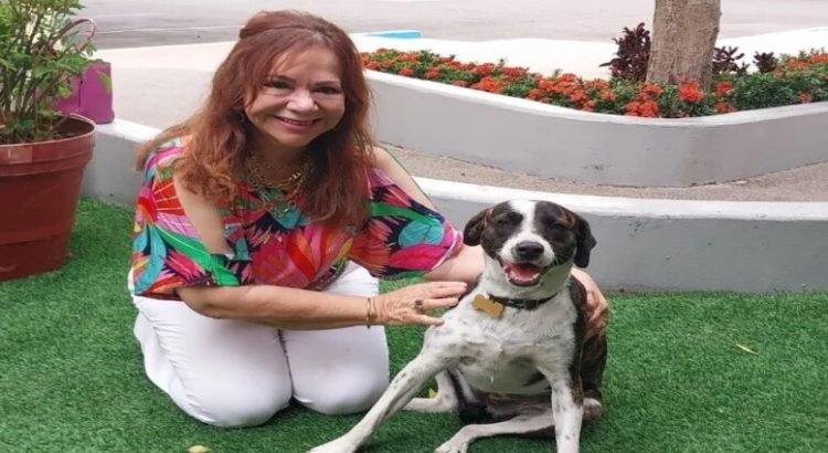 La diputada Alma Rosa Garzón exige cárcel para presunta responsable de ...